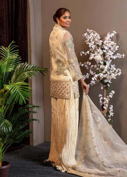 AR2064 – Ahmad Raza