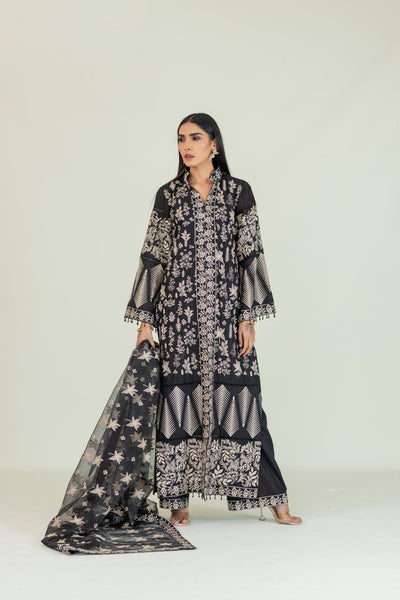 AR2070 – Ahmad Raza